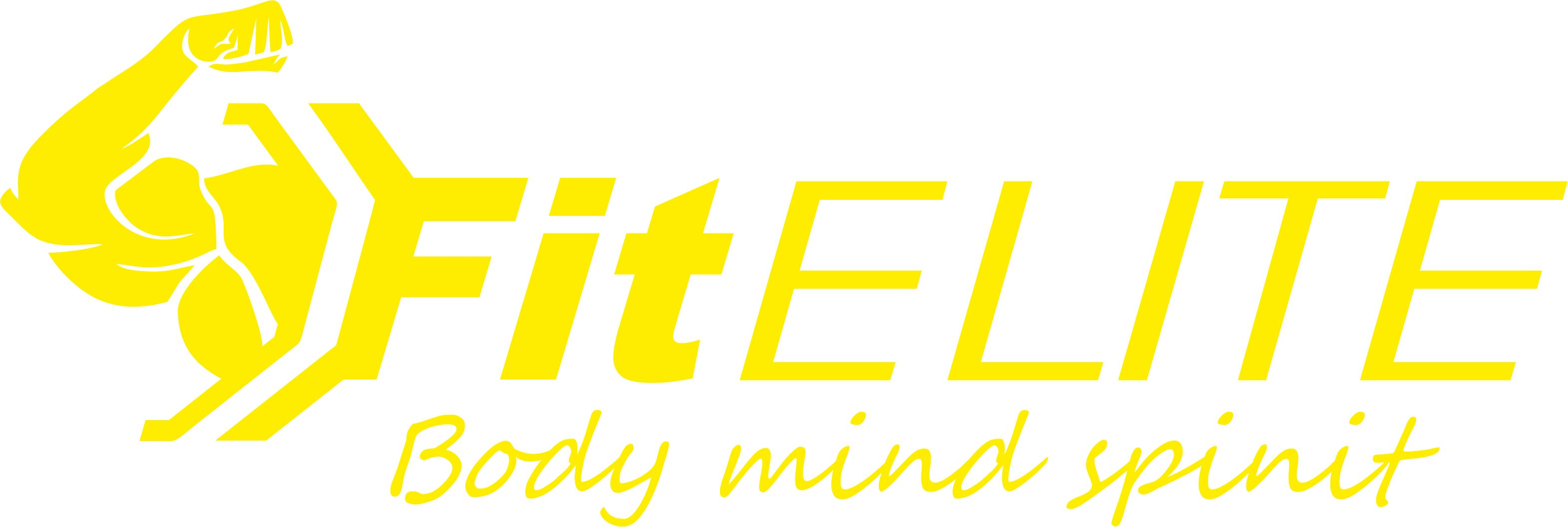 FitElite Česká Lípa | Mnohem více než jen moderní posilovna